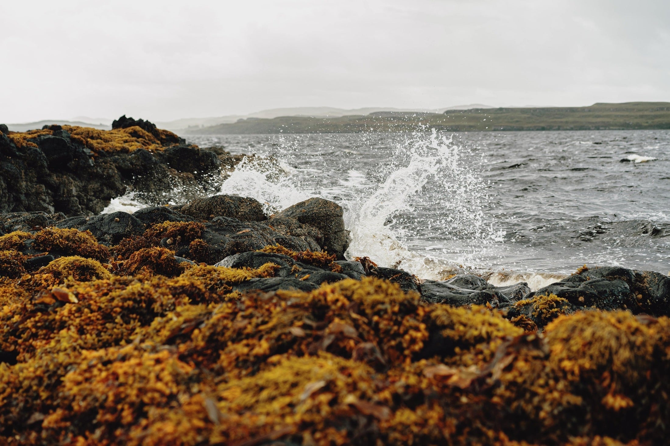 Celtic Sea Salt: what is it and how to choose the best ? – Isle of Skye ...